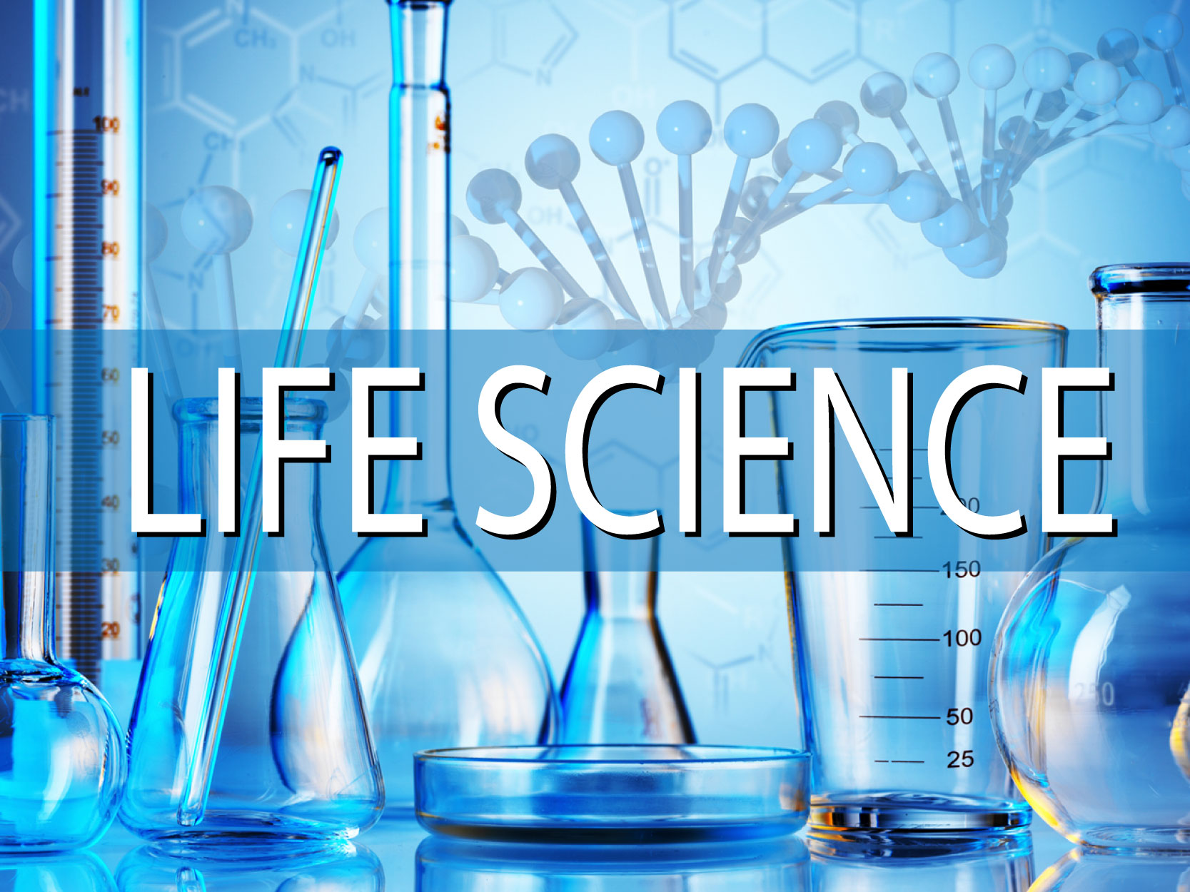 Come Ricercamy segue il settore Life Science - Ricercamy